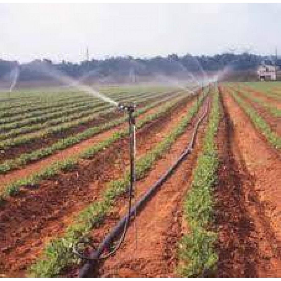PROJETO DE IRRIGAÇÃO AGRÍCOLA ATÉ 10 HECTARES